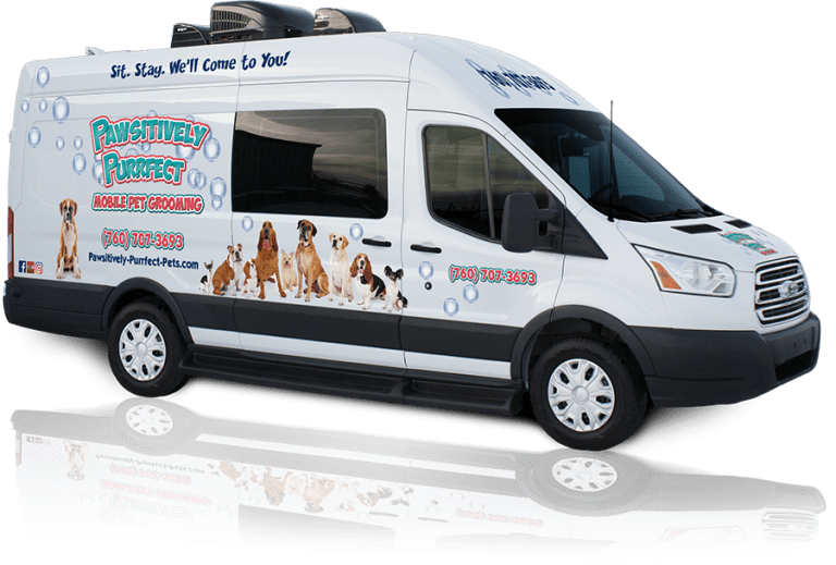 Mobile Grooming: The Best Experience for Pets - Pawsitively Purrfect ...