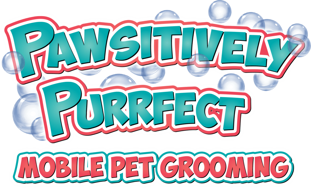 Pawsitively Purrfect Mobile Pet Grooming | Sit. Stay. We Come to You!